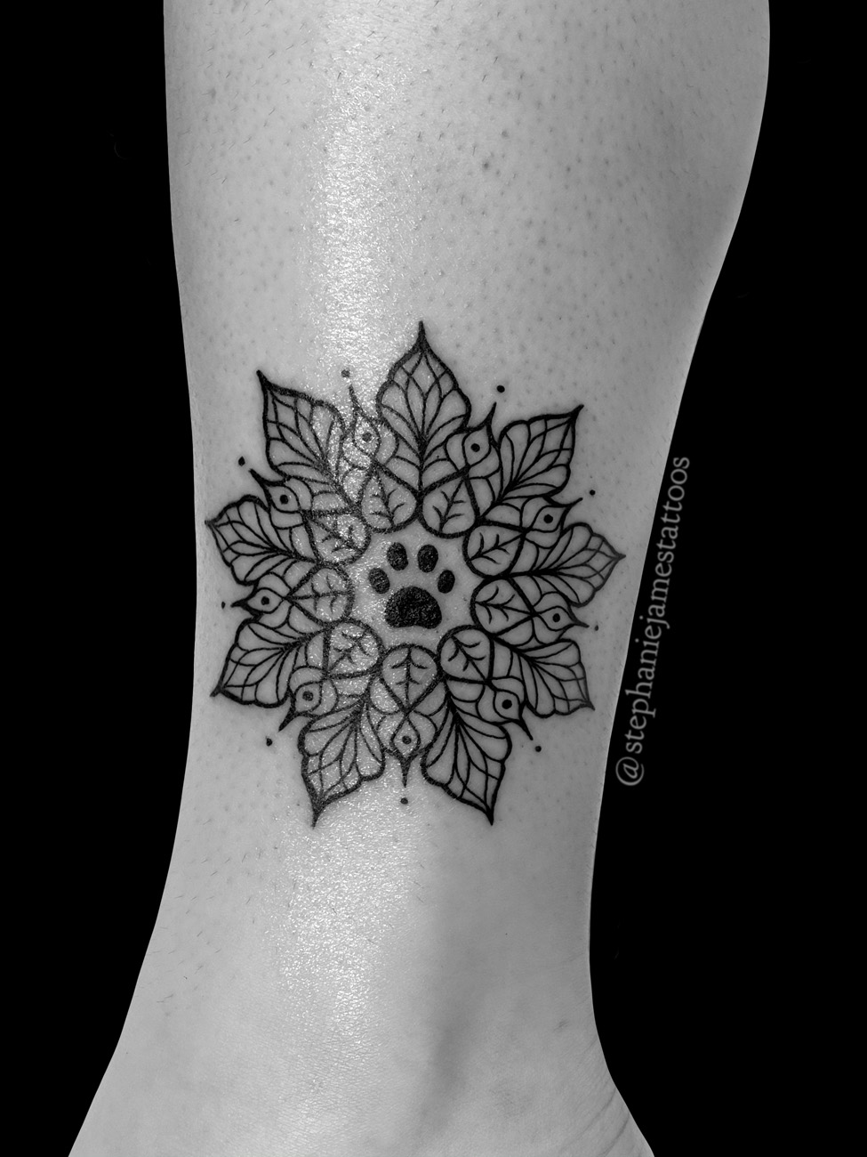 Animal, Blackwork, Linework tattoo by Stephanie James